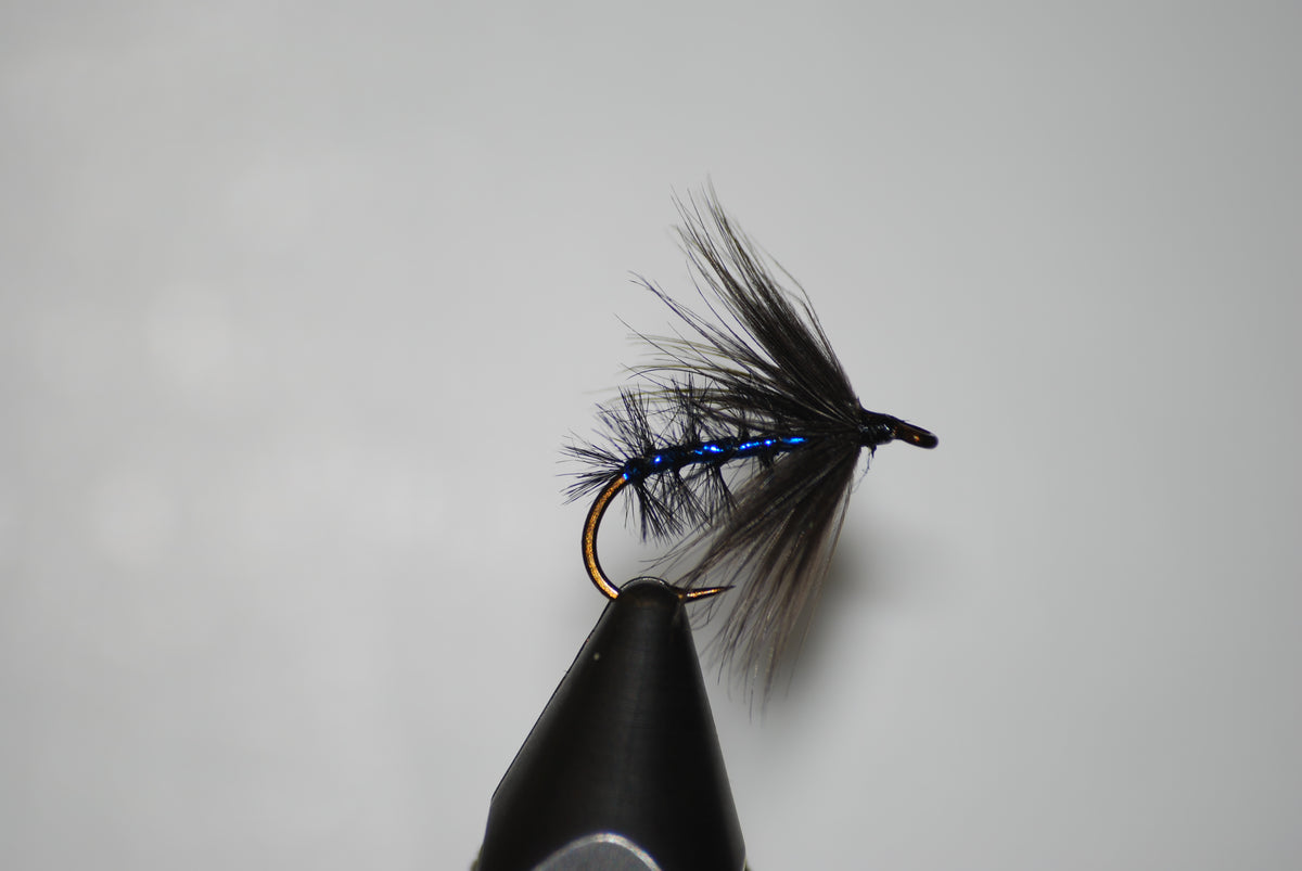 Blue Bottle Spider Wet Fly – Somers Fishing Tackle