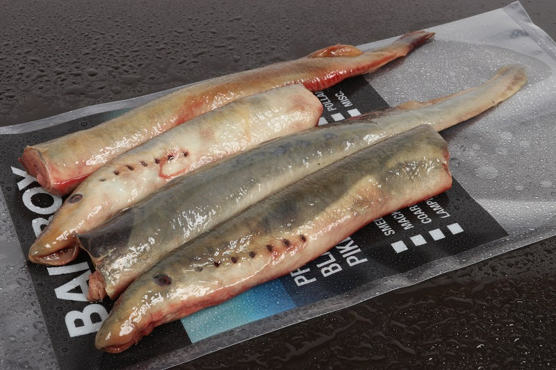 Lamprey Sections – Somers Fishing Tackle