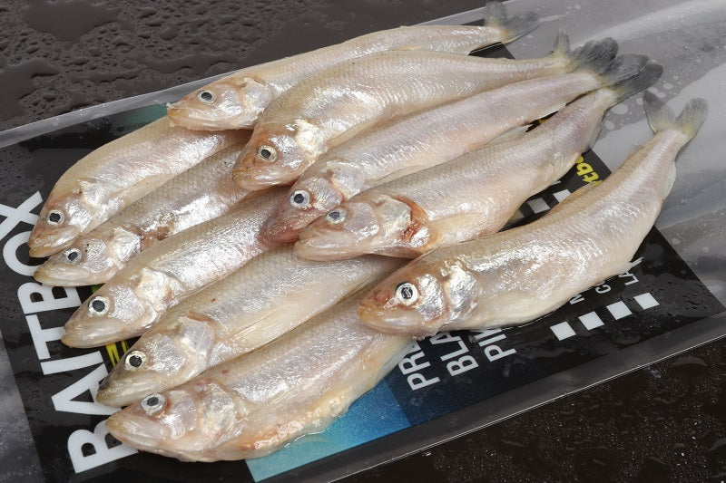 Smelts Medium – Somers Fishing Tackle