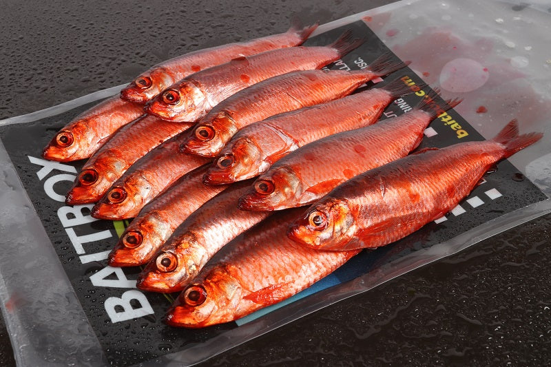 Sprats – Somers Fishing Tackle